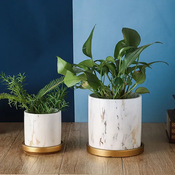 Round White Ceramic Plant Flower Pot - Bulk Wholesaler Selection