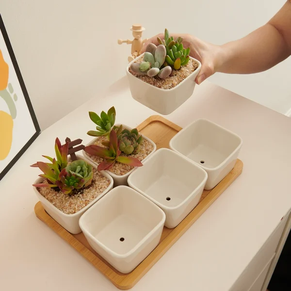 EcoNest White Ceramic Succulent Pots – Wholesale Succulent Pots