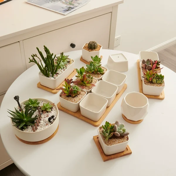 EcoNest White Ceramic Succulent Pots – Wholesale Succulent Pots
