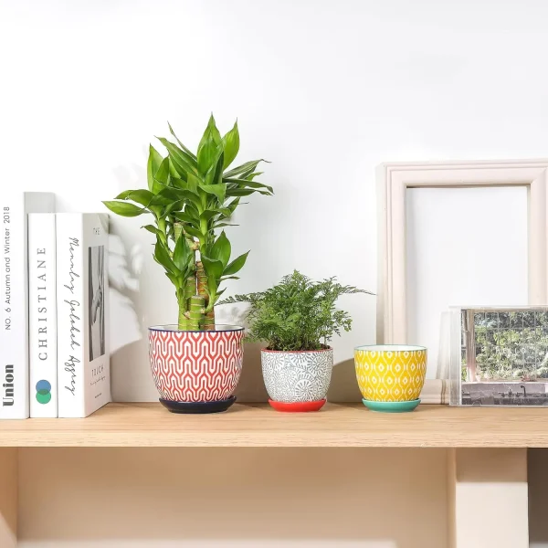 Wholesale Pattern Ceramic Flower Pots – Modern Colorful Planters