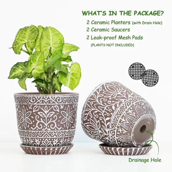 Wholesale Ceramic Flower Pot with Boho Pattern