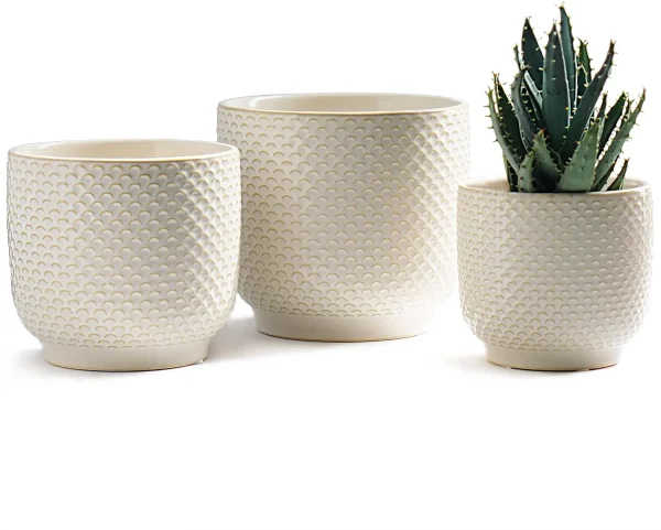Textured Ivory Ceramic Planter Set for Wholesale